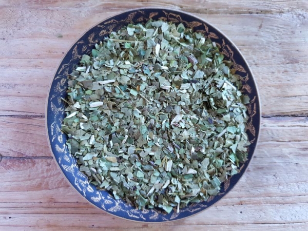 Brasil Mate grün - Friesisches Teehaus Wyk